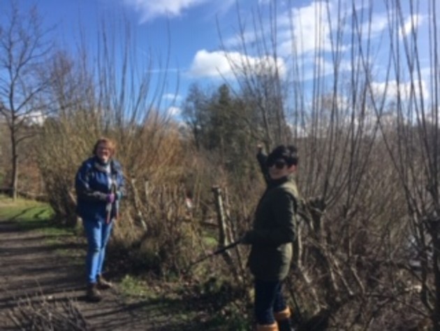 Select a date – WILLOW HARVESTING FOR VOLUNTEERS – Priory Farm Estate ...
