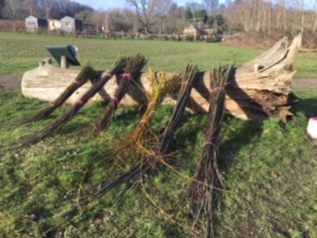 Select a date – WILLOW HARVESTING FOR VOLUNTEERS – Priory Farm Estate ...