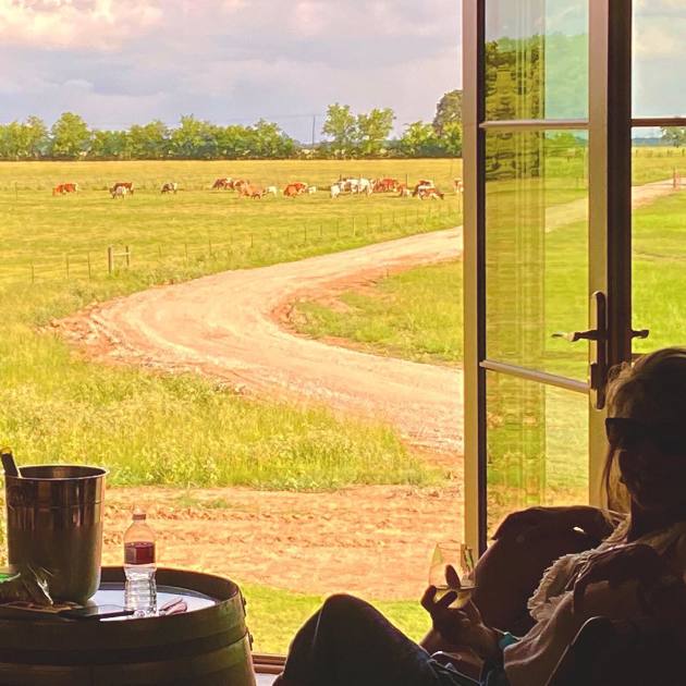 Buy tickets – Frank Sinatra Tribute Concert @ Triple N Ranch Winery ...